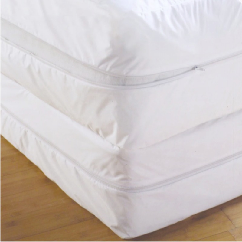 Bed Bug Cover - Queen