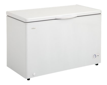 10 Cu Ft Freezer